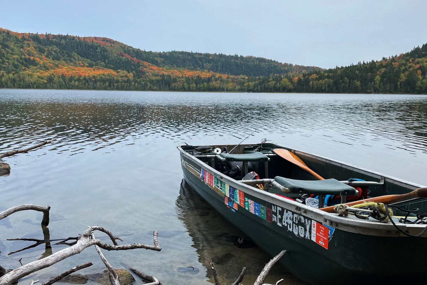 Magalloway River - Maine – New England Fly Company