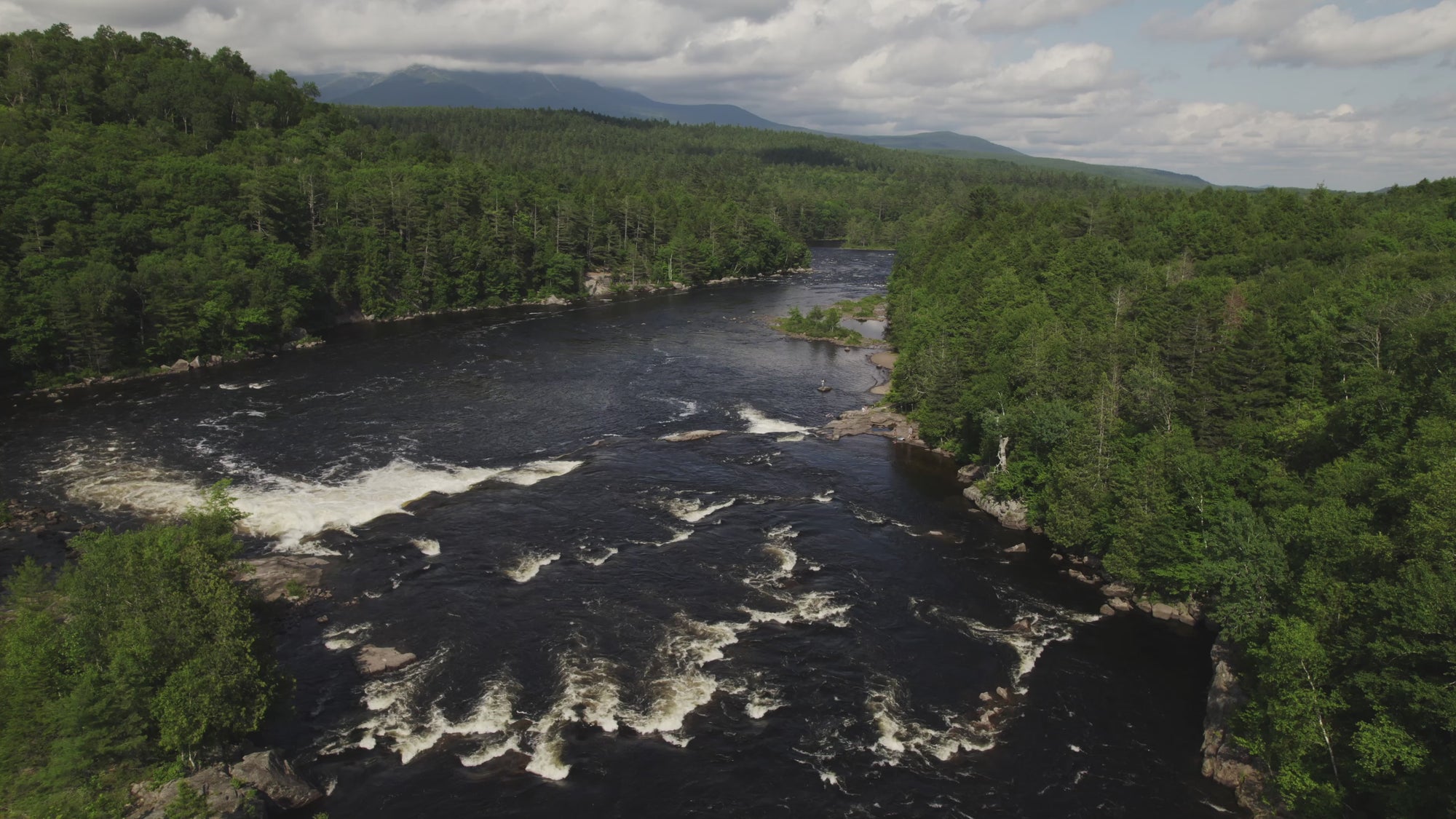 Fish Species of Maine – New England Fly Company